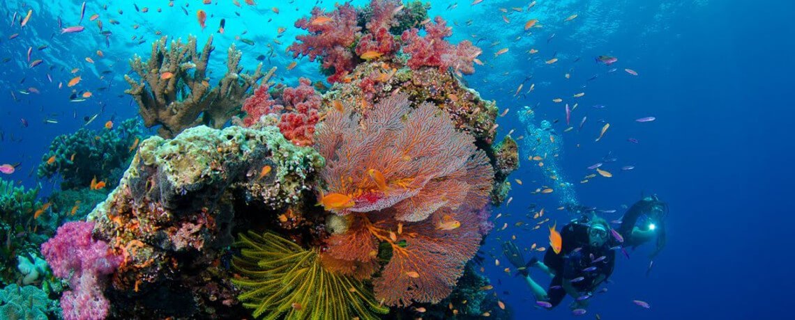 Home - Fiji's Suncoast - the land of endless summers