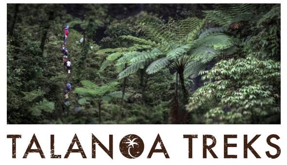 Full day hikes of Mount Tomanivi from Fiji's Suncoast now running ...