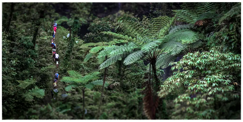 Savulelele Waterfall and Nabalesere Village - Fiji's Suncoast - the ...